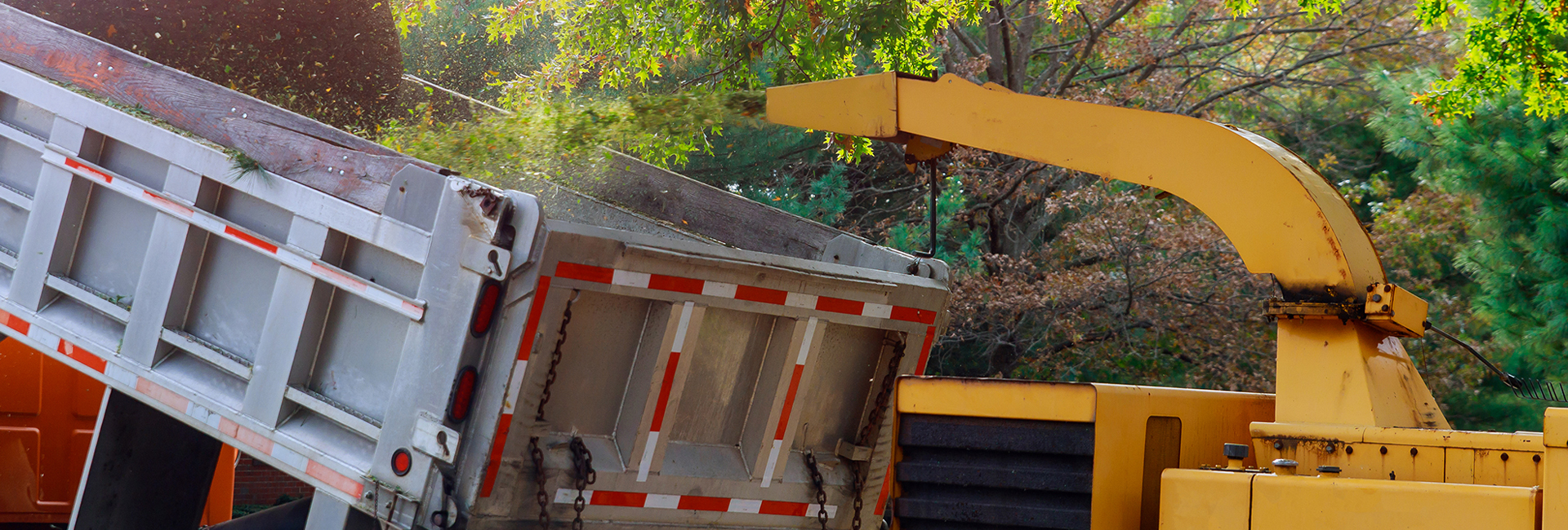 How To Sell Your Tree & Landscape Equipment Online | TreeTrader.com